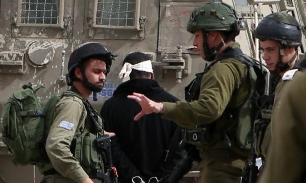 الاحتلال يعتقل 14 فلسطينياً في الضفة